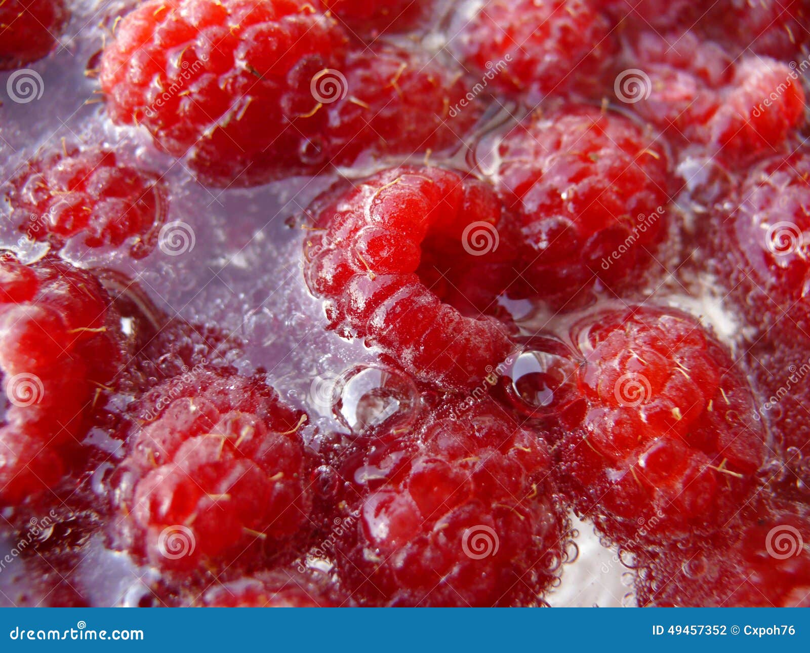 Raspberry stock photo. Image of bubble, water, tasty - 49457352