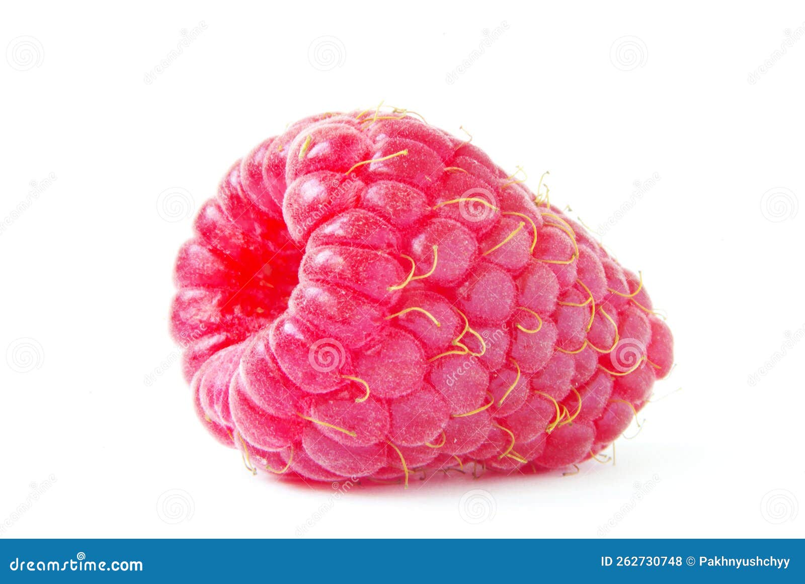Raspberry stock photo. Image of eating, vibrant, white - 262730748
