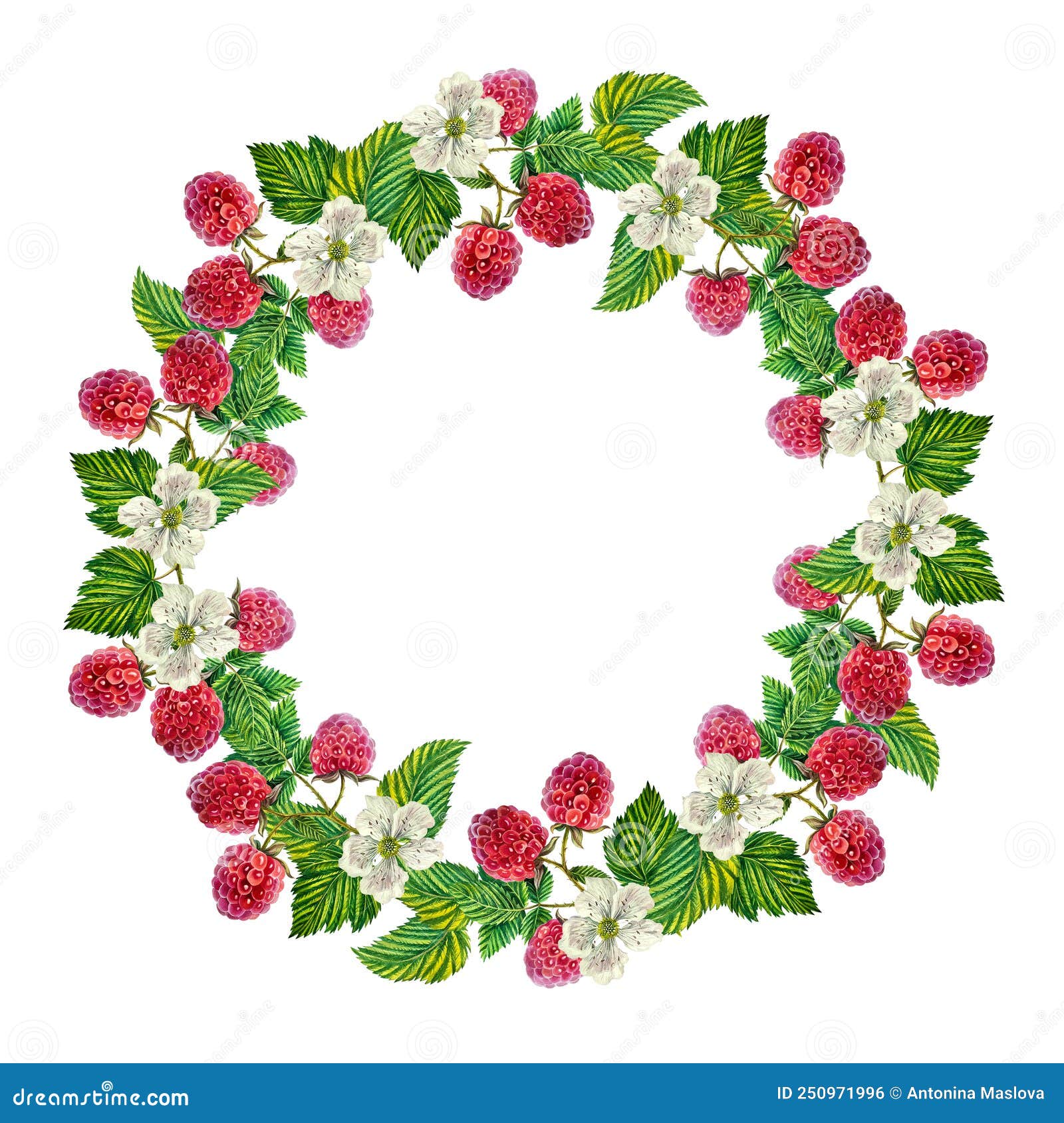 Raspberry. Round Frame with Raspberry Branches with Berries and Leaves ...