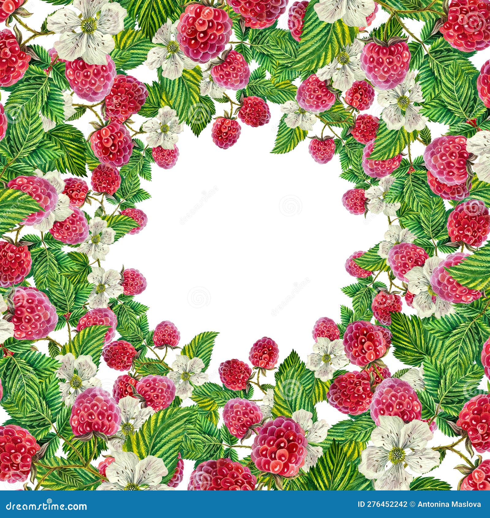 Raspberry. Round Frame with Raspberry Branches with Berries and Leaves ...