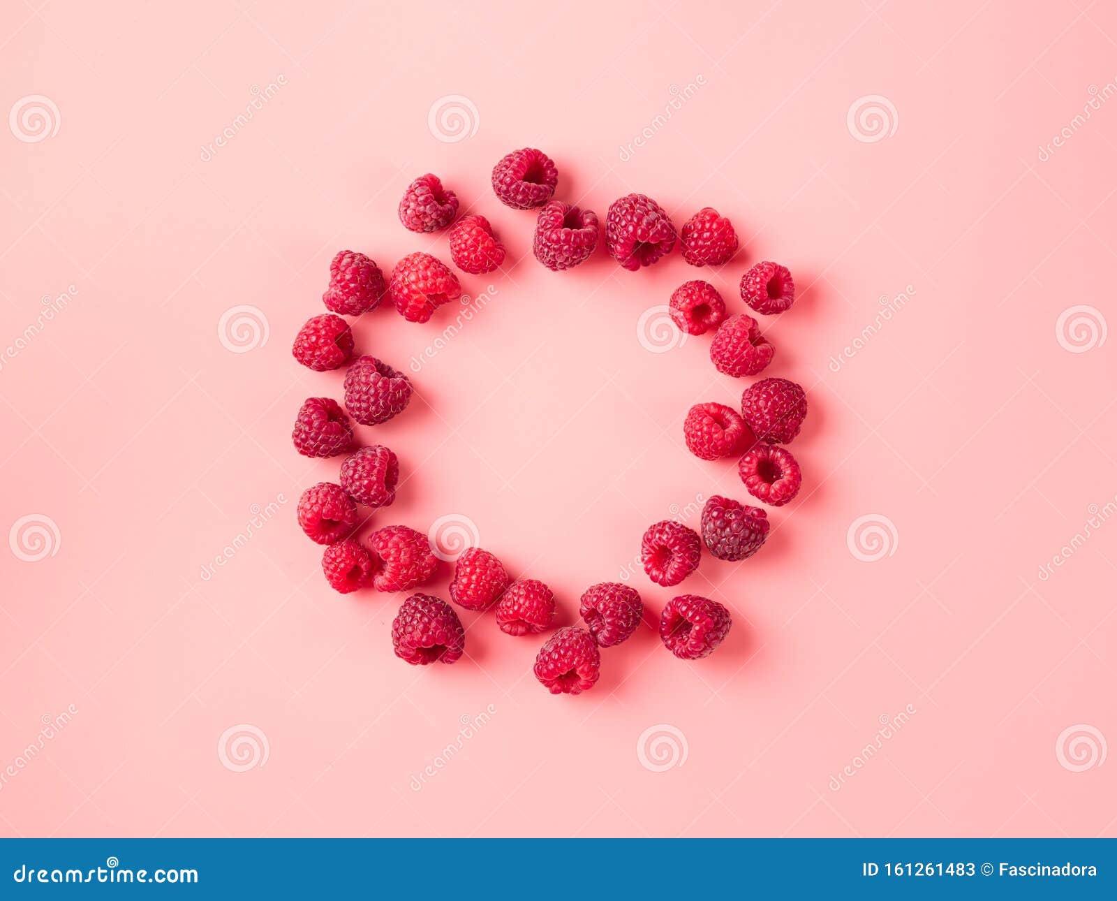 Raspberry in Round Shape on Pink, Copy Space Stock Image - Image of ...