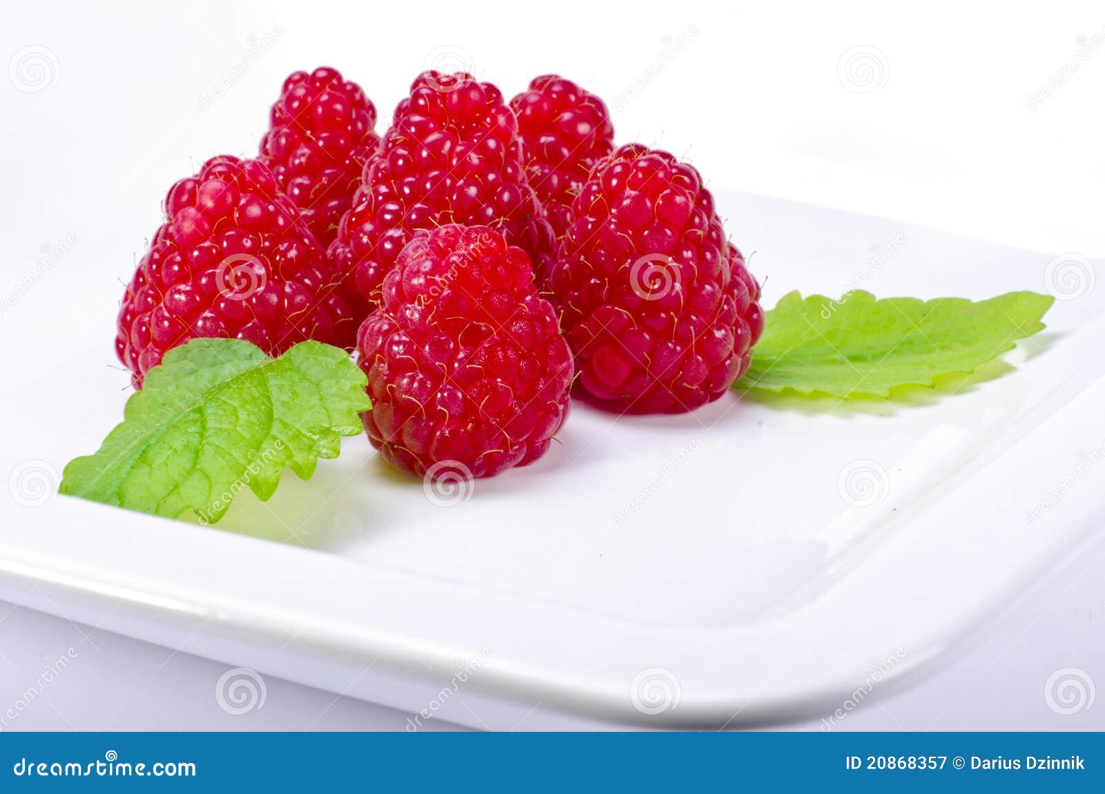 Raspberry (Rubus idaeus) stock image. Image of forest - 20868357