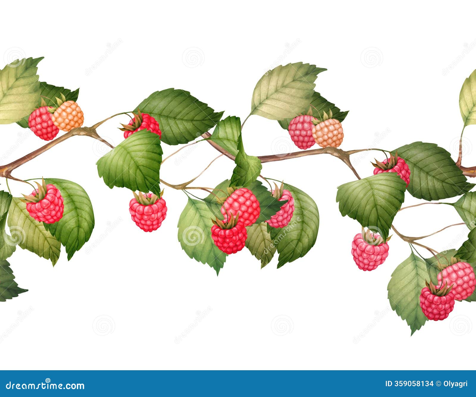 Raspberry Border Stock Photo | CartoonDealer.com #14587080