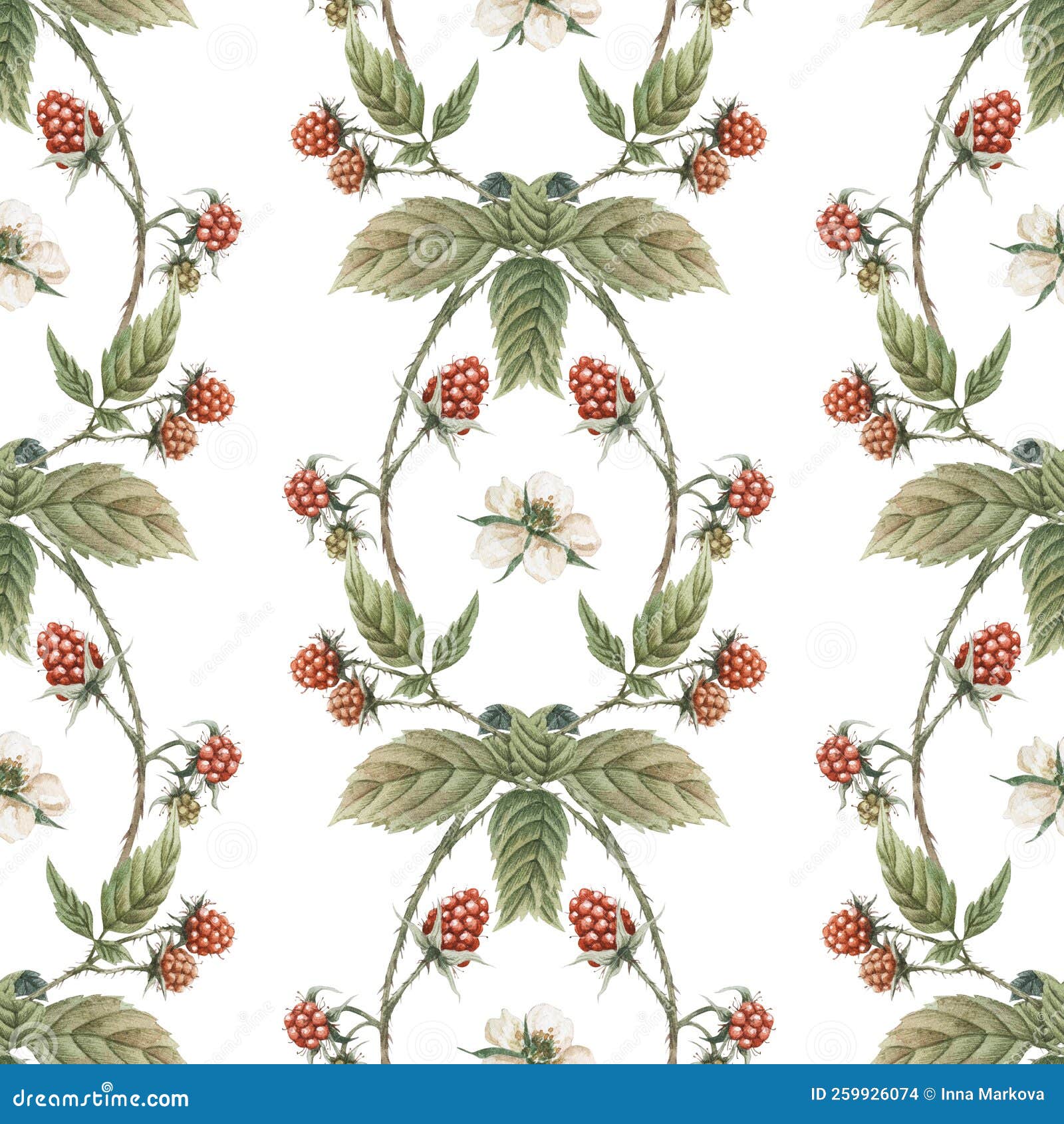 Raspberry Seamless Pattern. Forest Berry. Stock Illustration ...