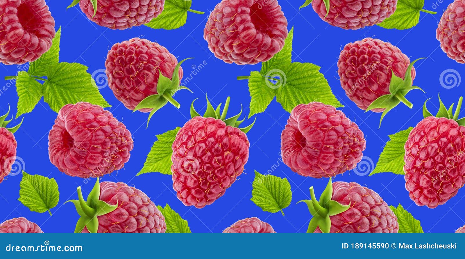 Raspberry Seamless Pattern Isolated on Blue Background Stock Photo ...
