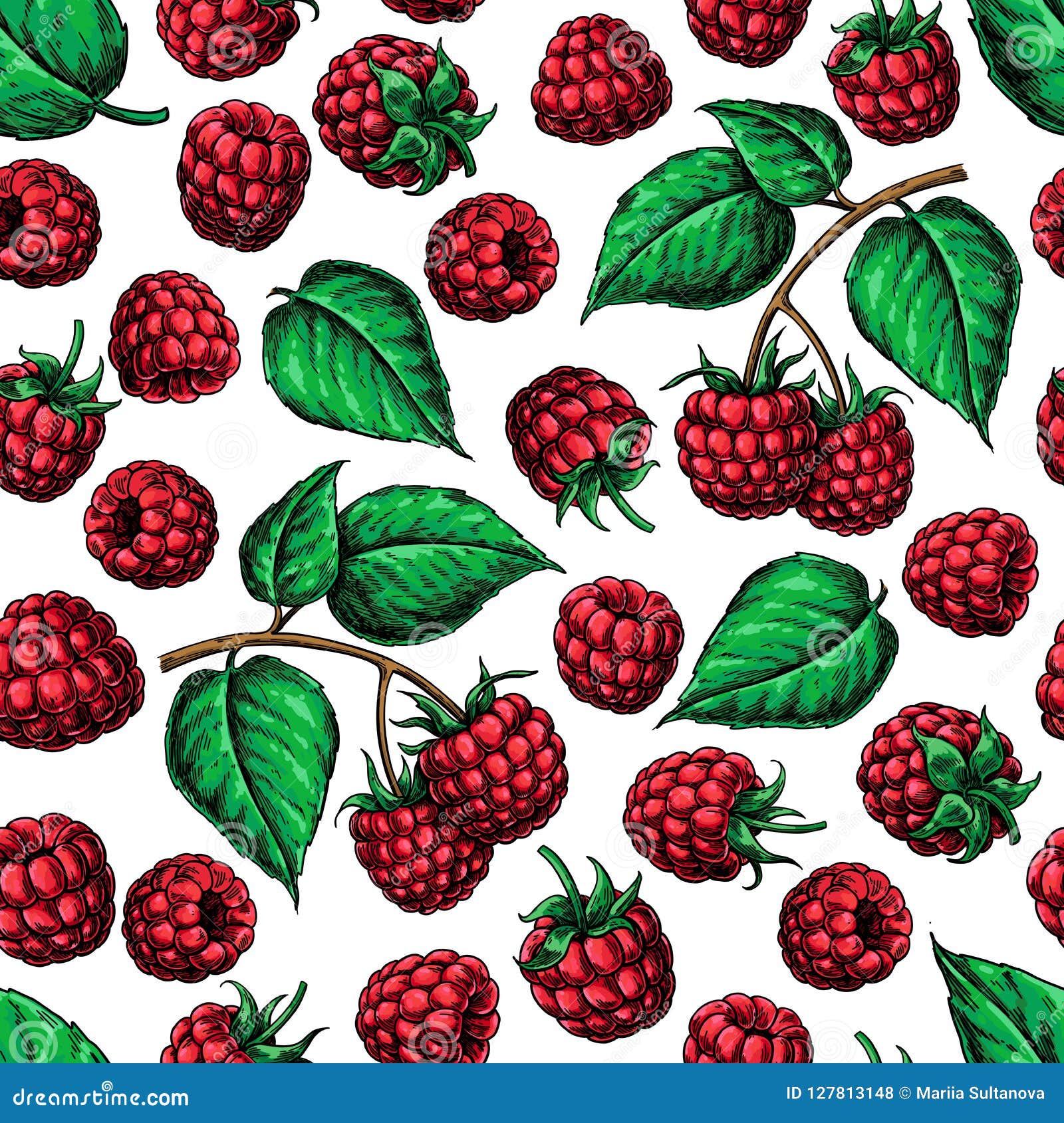 Raspberry Seamless Pattern. Vector Drawing Stock Vector - Illustration ...