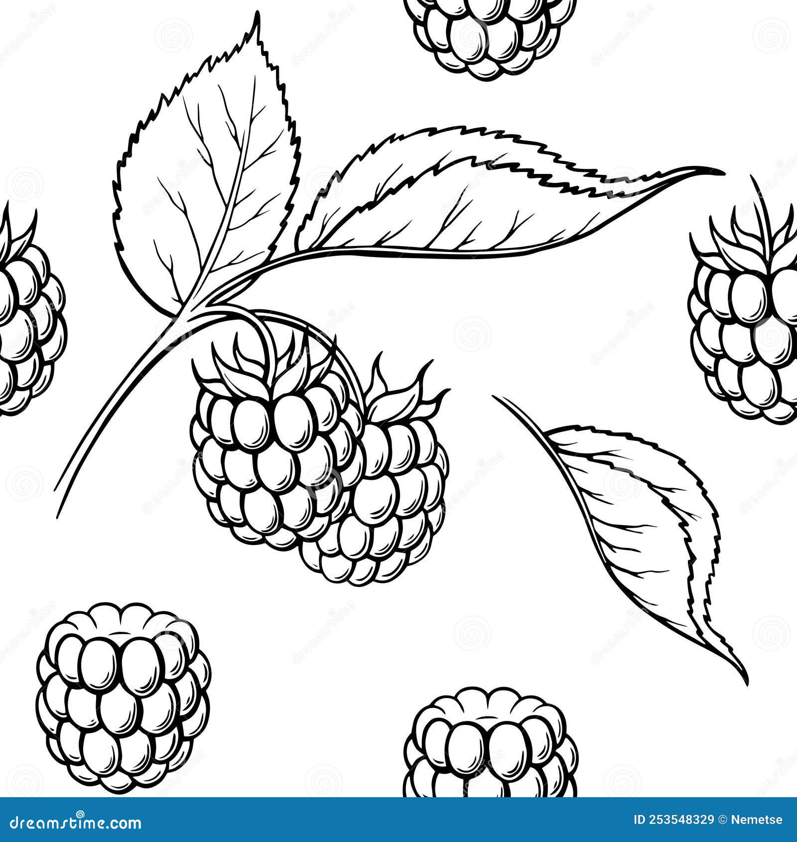 Raspberry Seamless Pattern. Vector Drawing. Isolated Berry Sketc ...