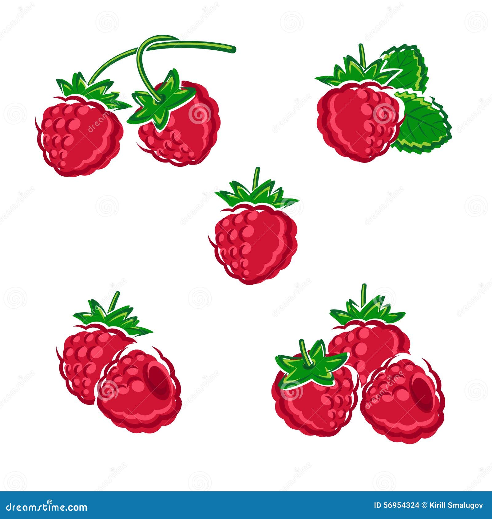 Raspberry set. Vector stock vector. Illustration of diet - 56954324