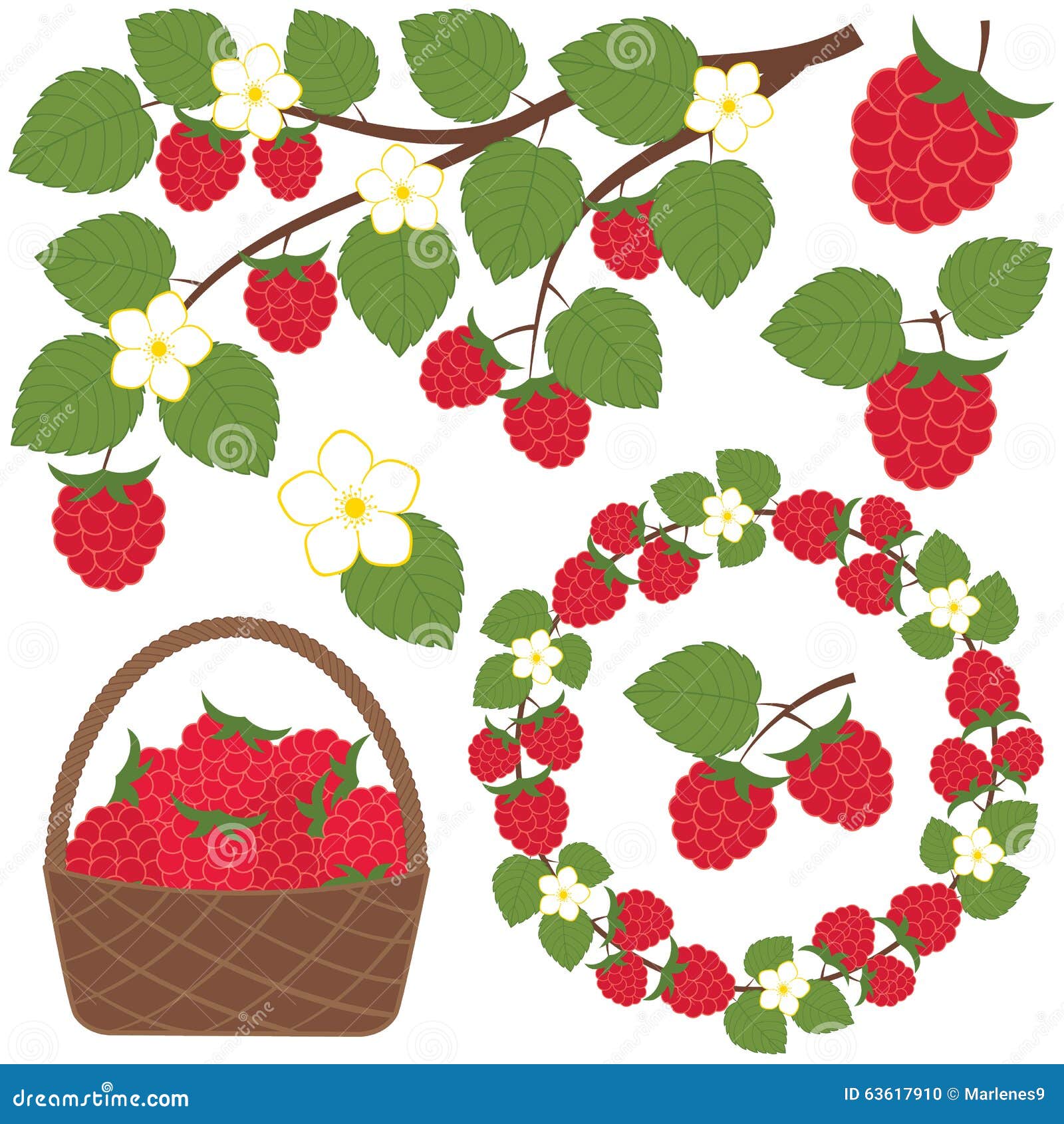 Raspberry Set stock vector. Illustration of tasty, flower - 63617910