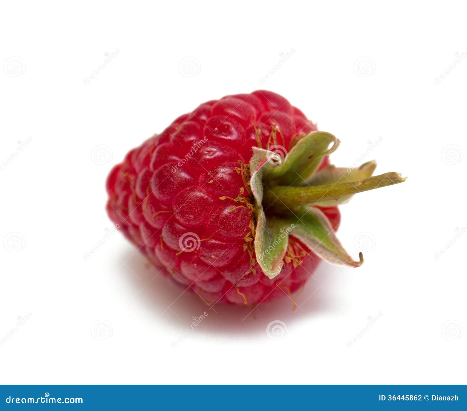 Raspberry stock photo. Image of nature, green, healthy - 36445862