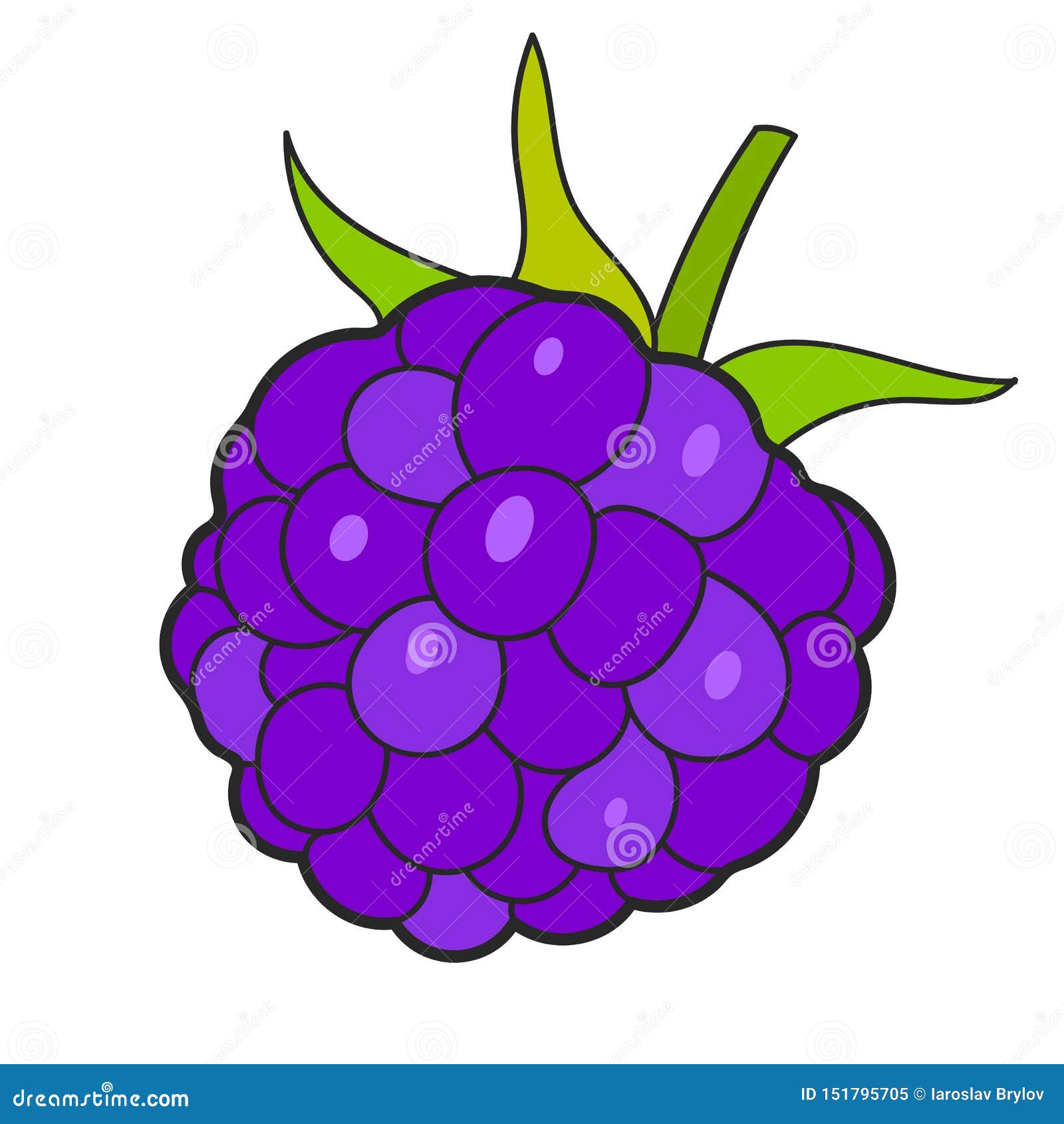 Raspberry Sketch Vector Ready for Your Design, Greeting Card Stock ...