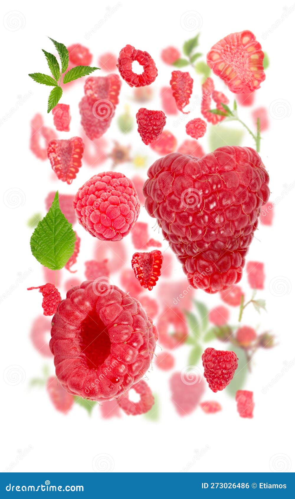 Raspberry Slice and Leaf Abstract Stock Photo - Image of natural ...