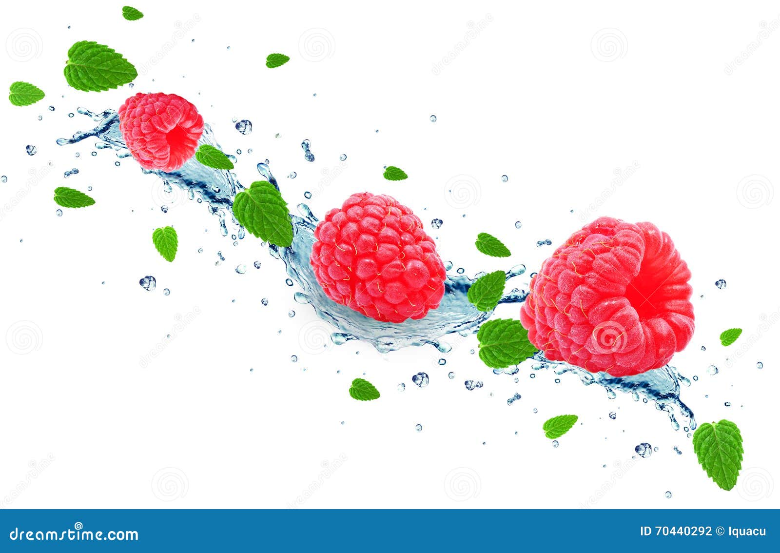 Raspberry splash stock photo. Image of healthy, splash - 70440292