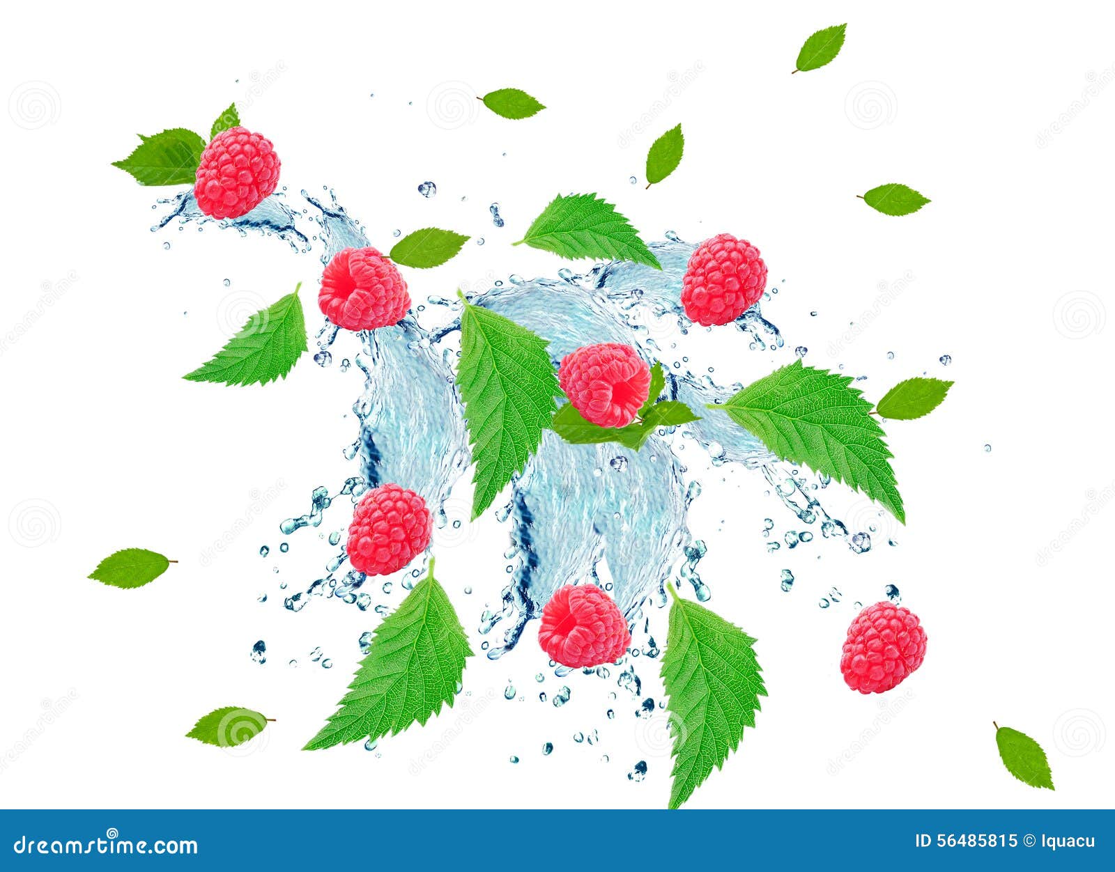 Raspberry splash stock image. Image of falling, light - 56485815