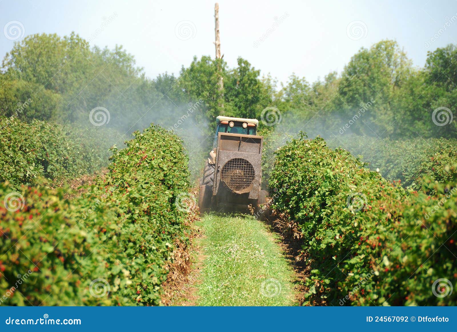 Raspberry Spray stock photo. Image of tractor, farm, fields - 24567092