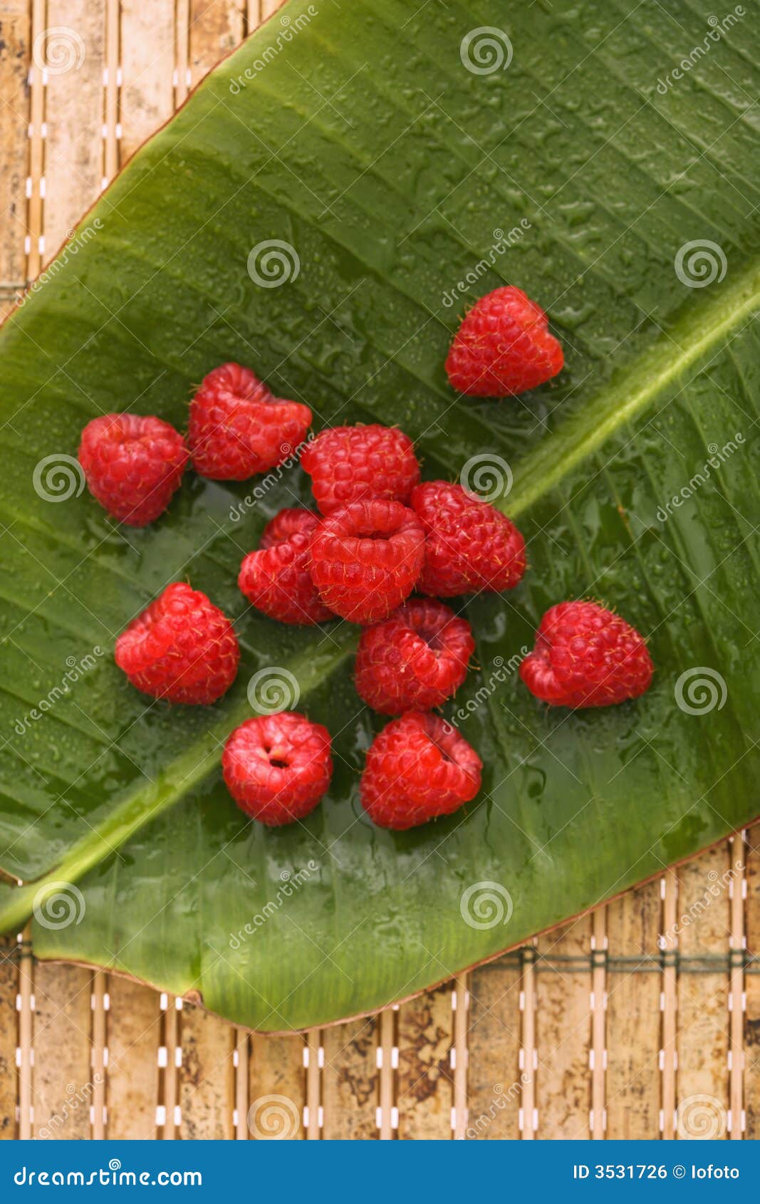 Raspberry still life. stock photo. Image of color, berries - 3531726