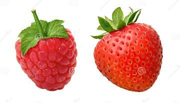 Raspberry Strawberry stock image. Image of isolated, taste - 1755993