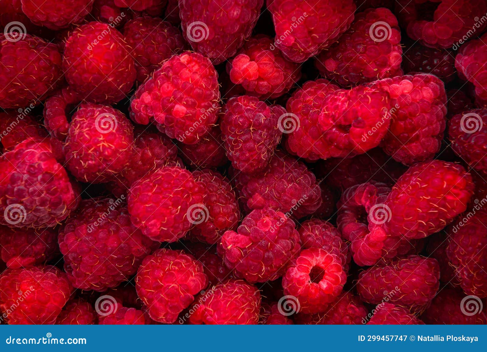 Raspberry Texture or Background. Stock Image - Image of harvest, season ...