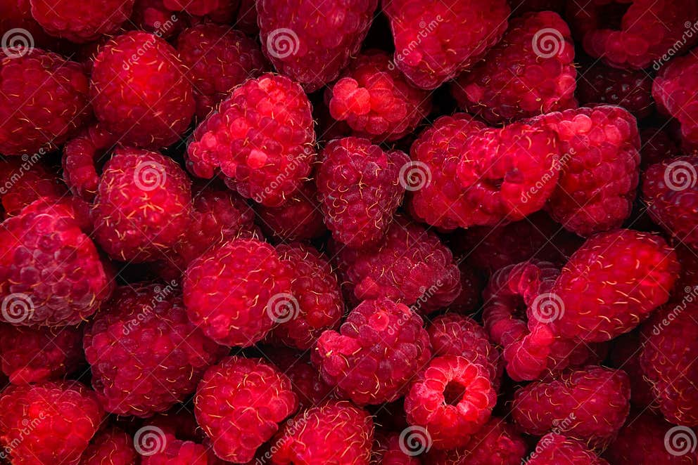 Raspberry Texture or Background. Stock Image - Image of harvest, season ...