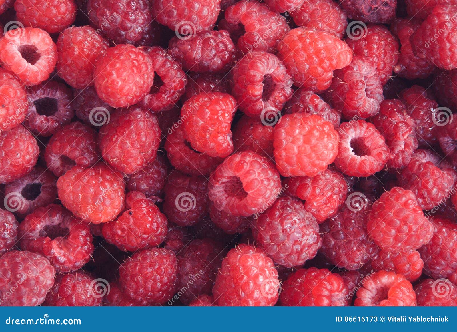 Raspberry Texture Background Royalty-Free Stock Photography ...