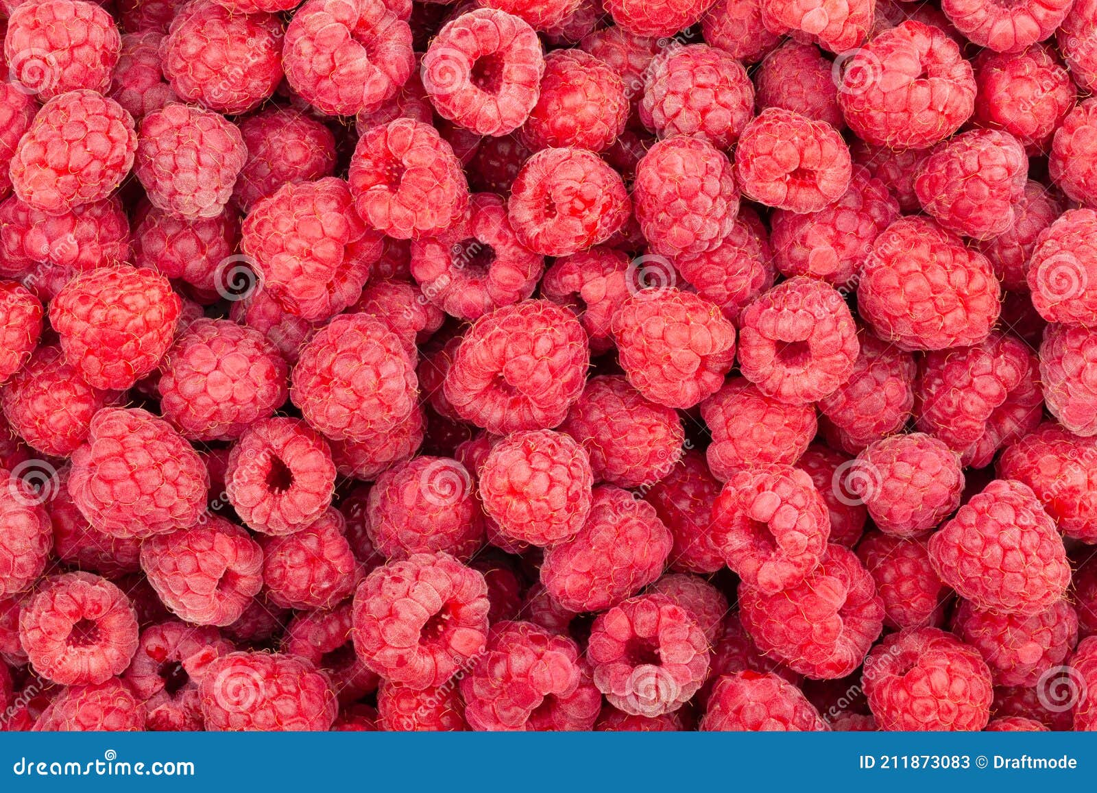 Raspberry texture stock image. Image of studio, antioxidant - 211873083