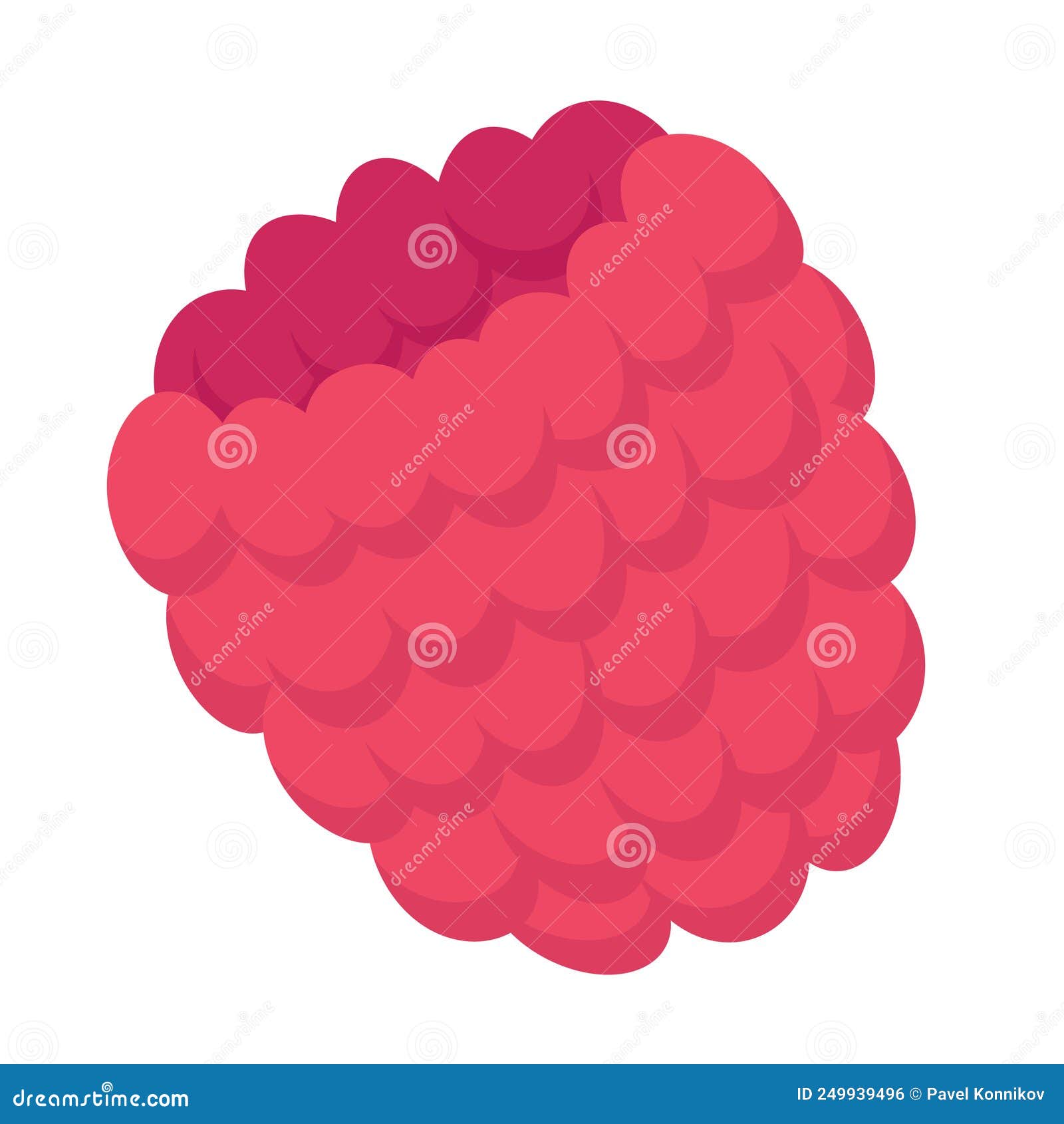 Raspberry Three Quarter View. Stock Vector - Illustration of element ...