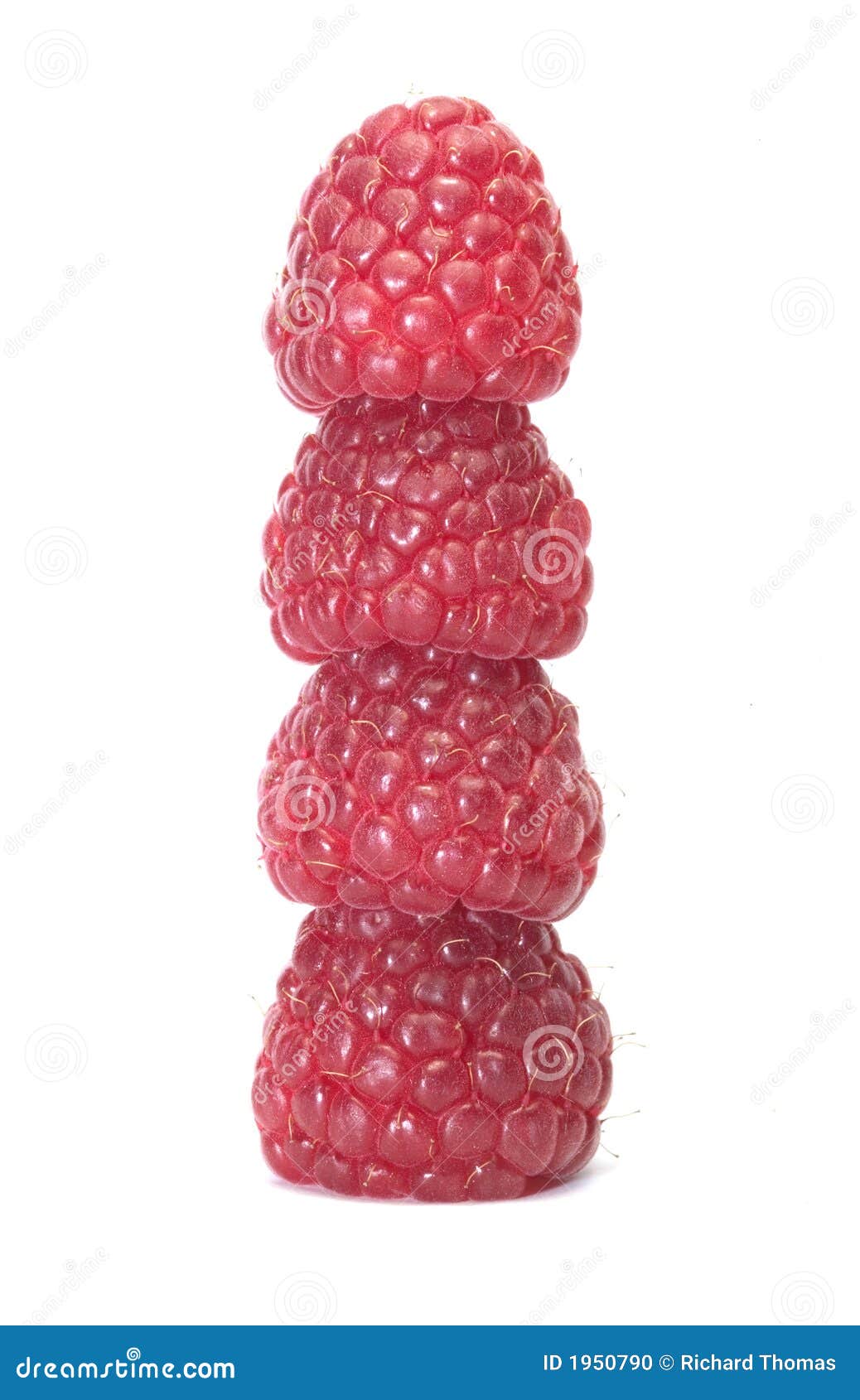 Raspberry tower #1 stock photo. Image of stalk, nutrition - 1950790