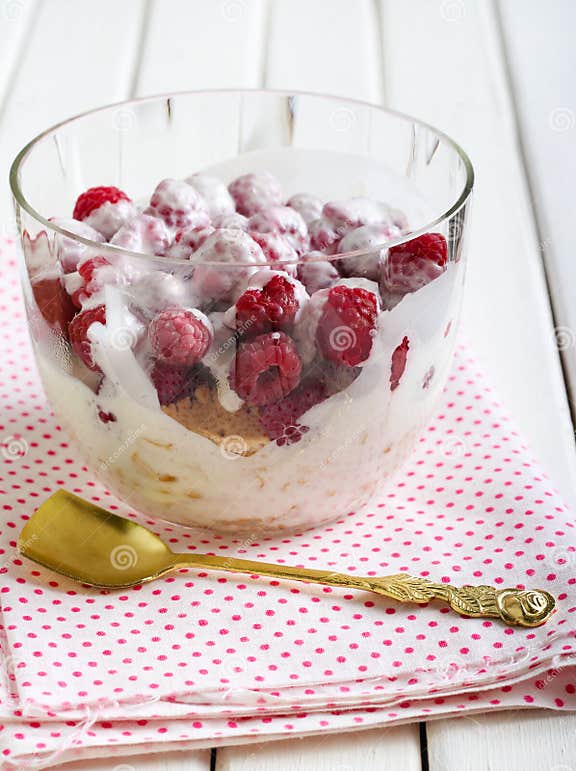 Raspberry trifle stock image. Image of glass, trifle - 56208355