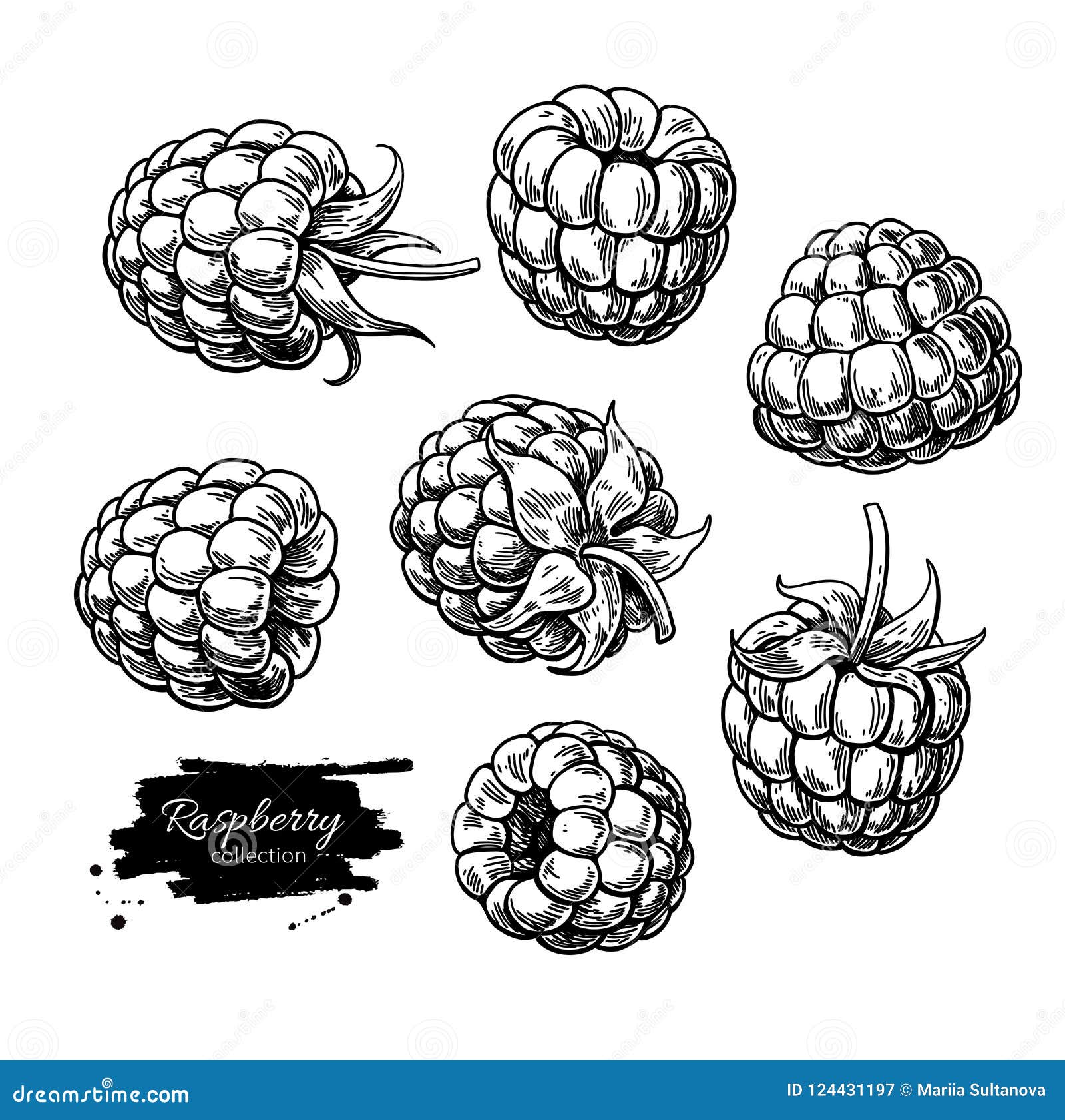 Raspberry Vector Illustration | CartoonDealer.com #83584072