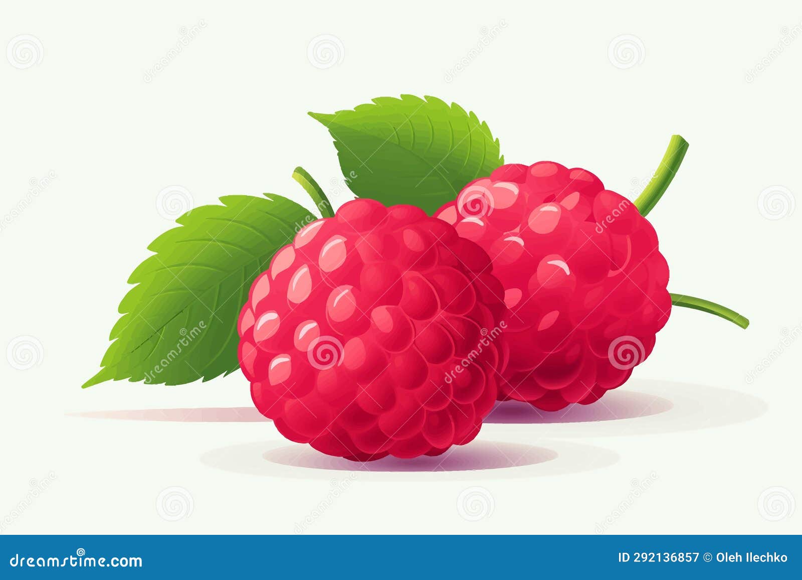 Raspberry Vector Flat Minimalistic Isolated Vector Style Illustration ...