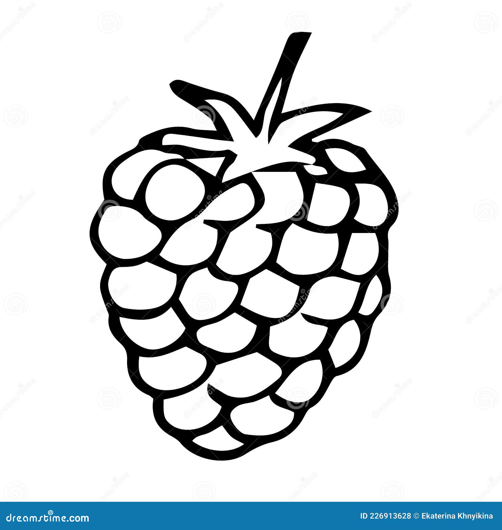 Raspberry, Vector Illustration of Hand Drawing Doodle Stock Vector ...