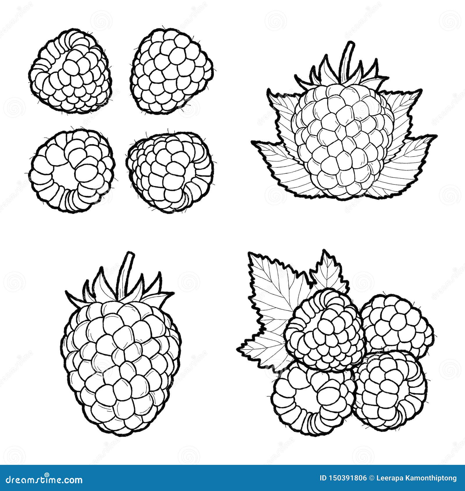 Raspberry Vector Illustration Hand Drawn Fruit Cartoon Ar Stock Vector ...