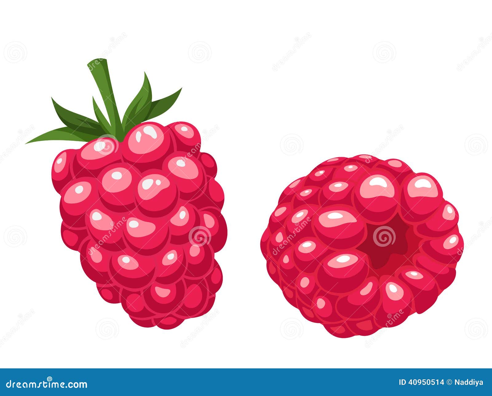 Raspberry Vector Illustration Stock Vector Illustration Of Crop