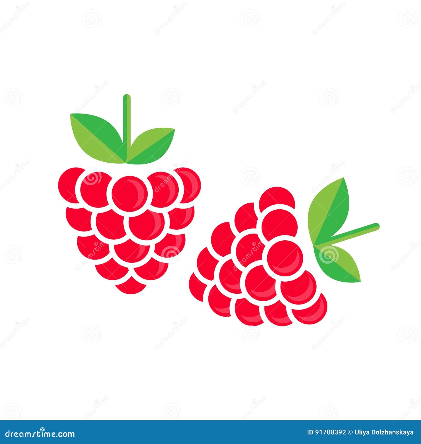 Raspberry vector stock vector. Illustration of green - 91708392