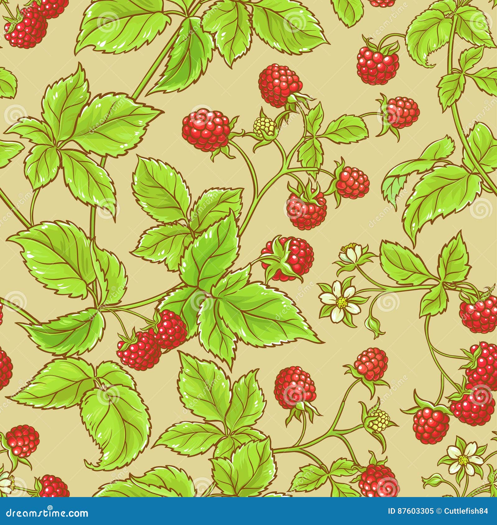 Raspberry vector pattern stock vector. Illustration of seamless - 87603305