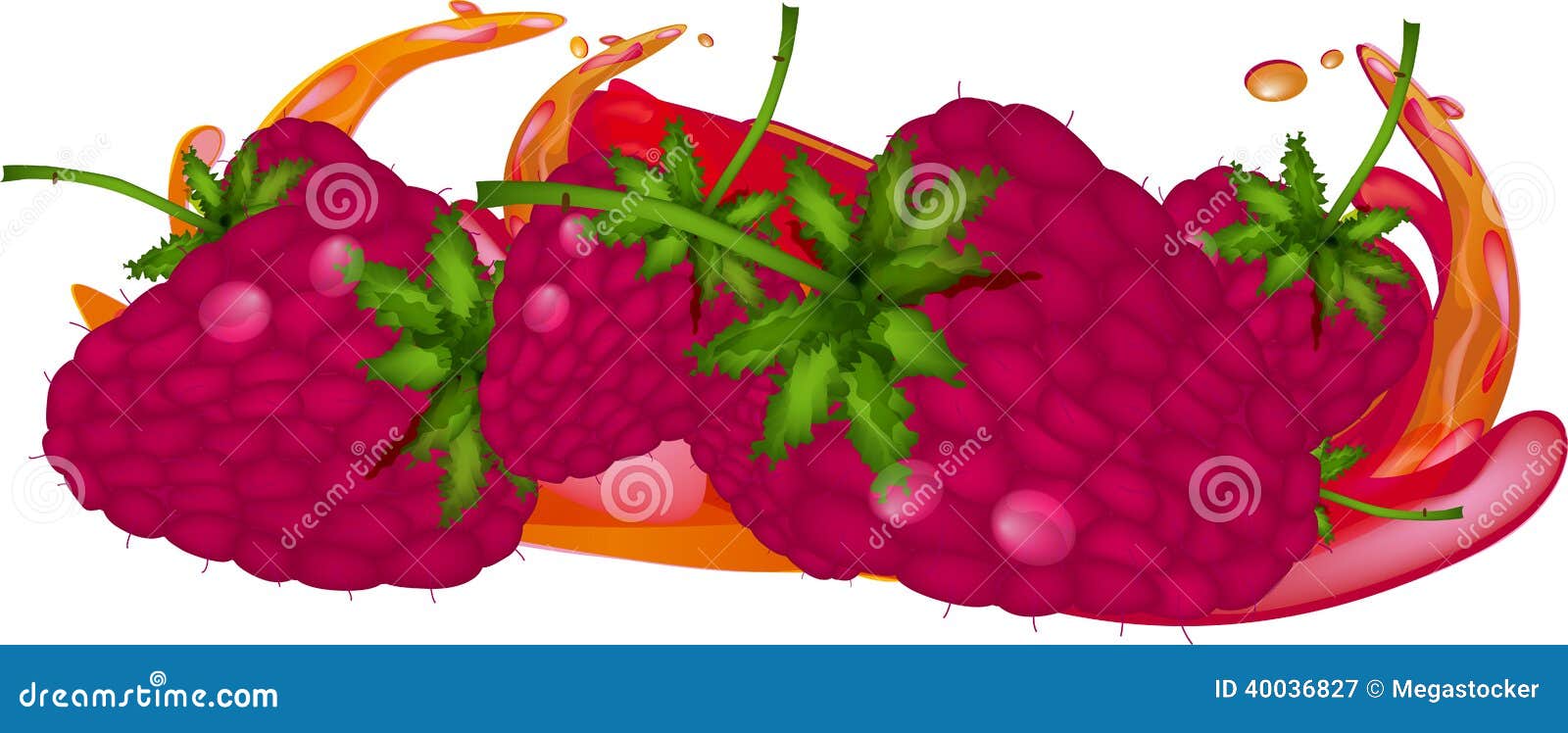 Raspberry stock vector. Illustration of pink, flora, creative - 40036827