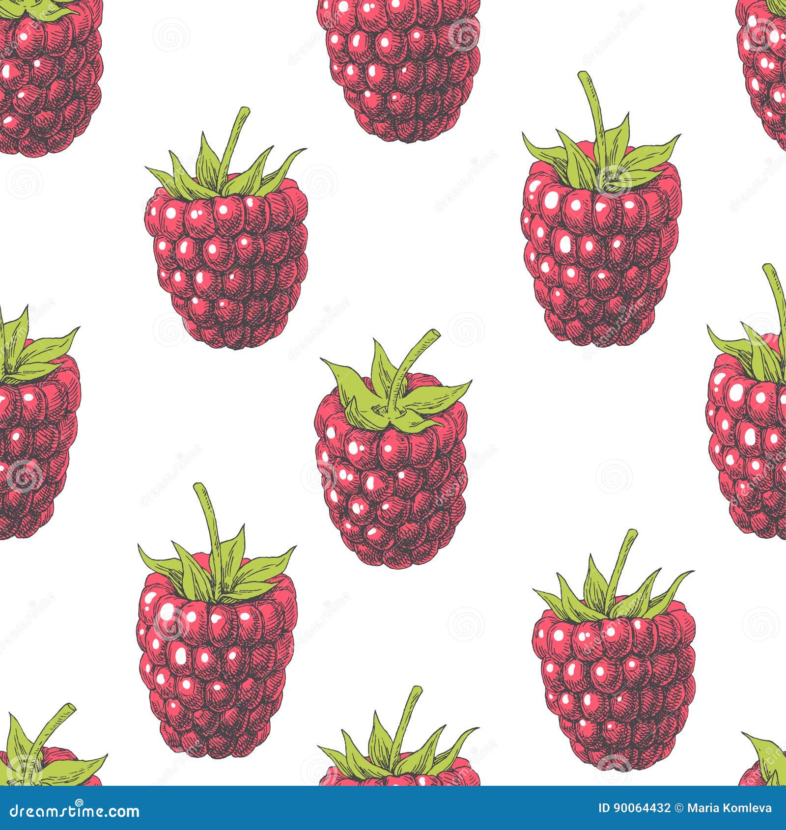 Raspberry. Vector Seamless Pattern Stock Vector - Illustration of ...