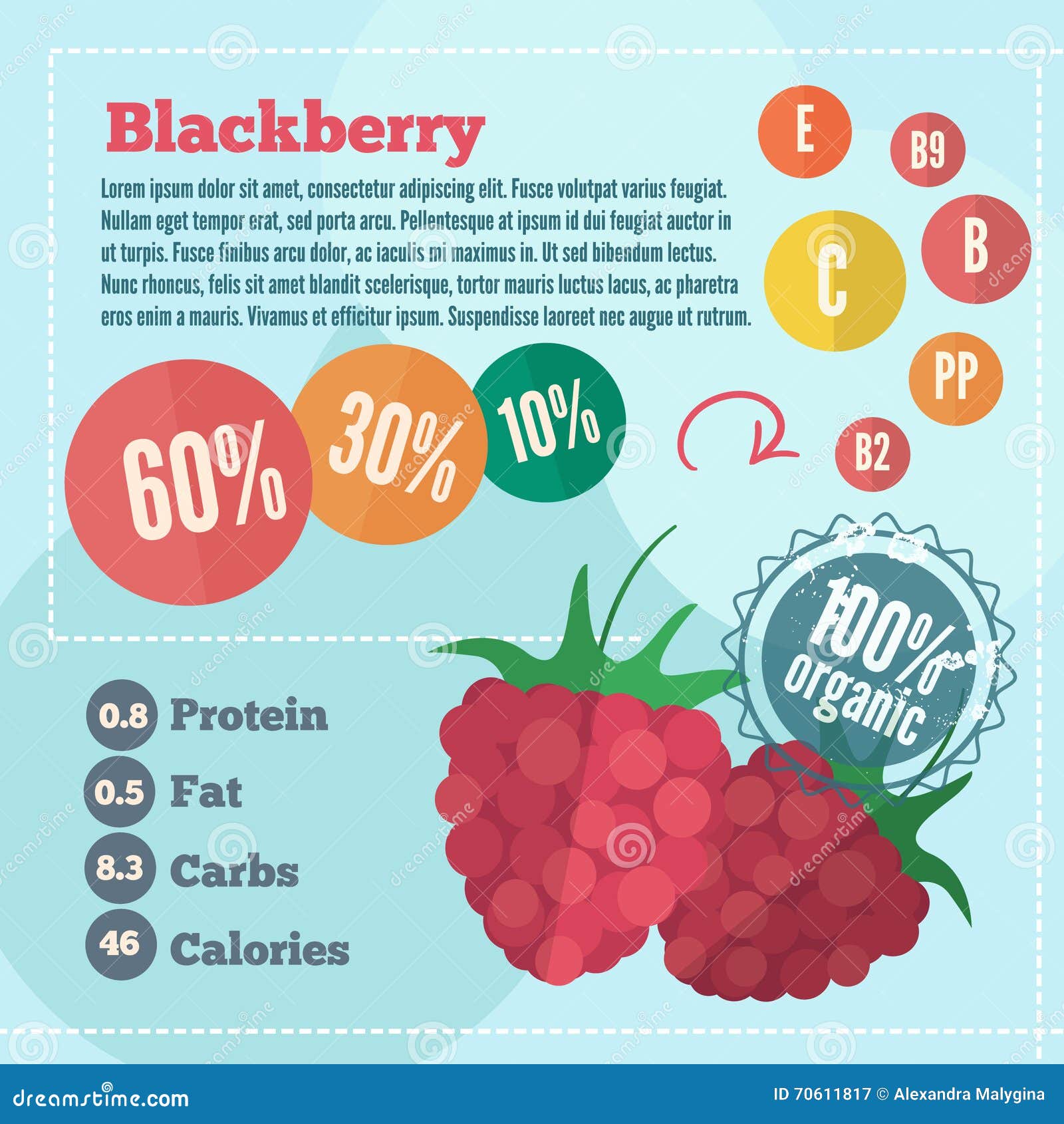 Raspberry and Vitamins Infographics in a Flat Style Stock Vector ...