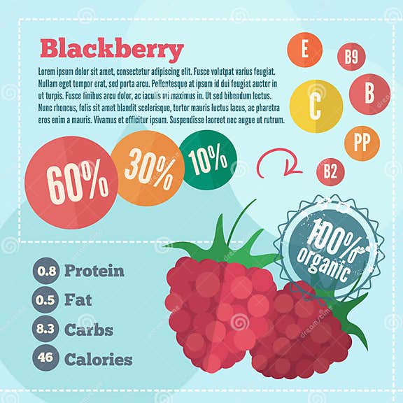 Raspberry and Vitamins Infographics in a Flat Style Stock Vector ...