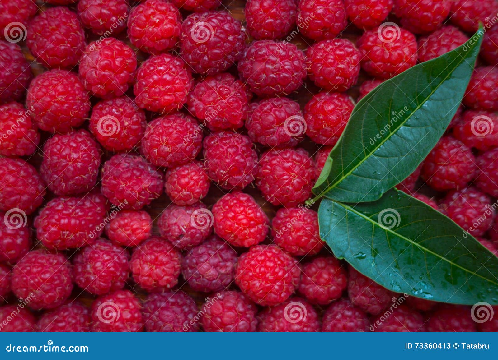 Raspberry Wallpaper on Wood Background Stock Image - Image of drops ...