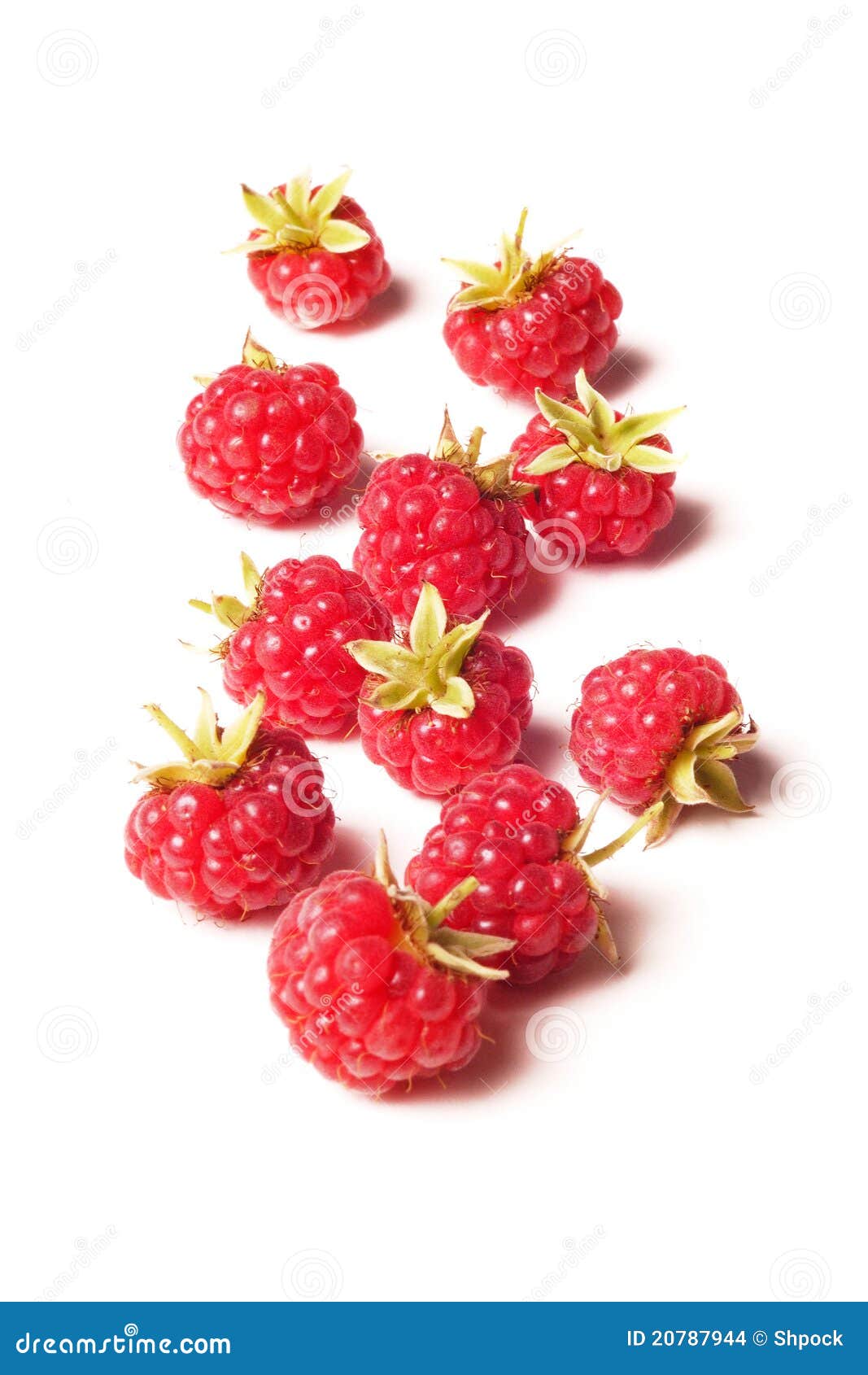 Raspberry on white stock photo. Image of cooking, raspberry - 20787944