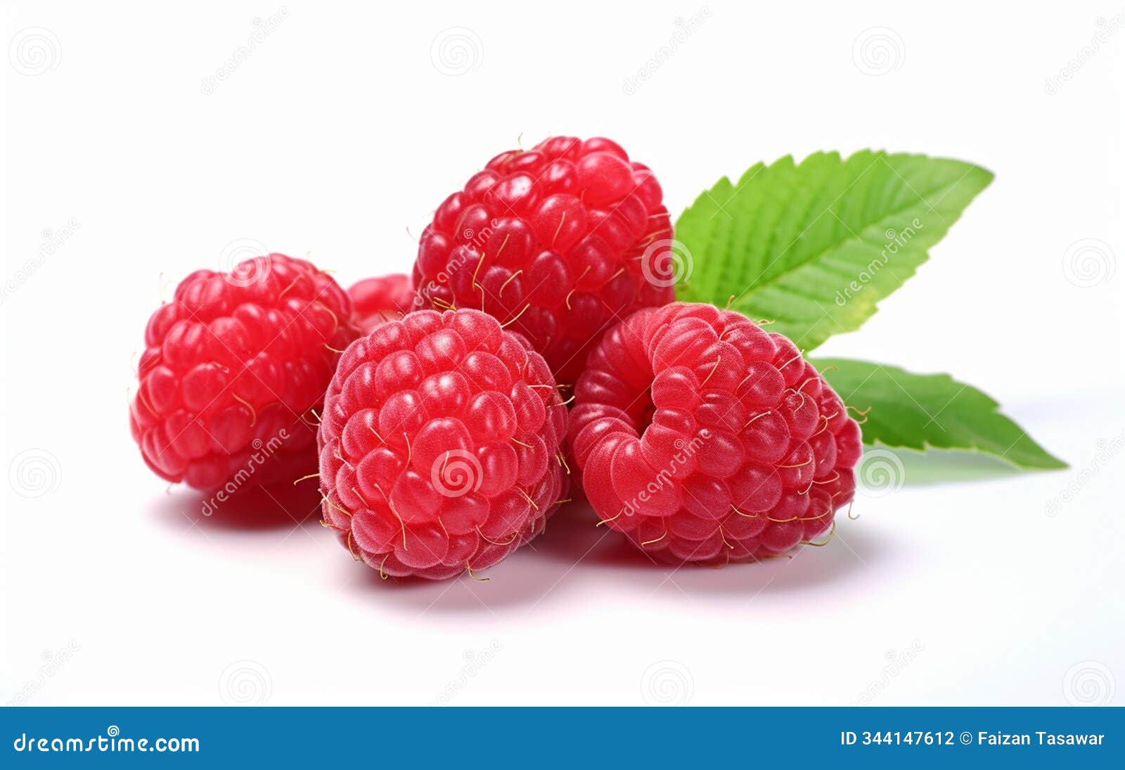 Raspberry on a White Background Stock Illustration - Illustration of ...