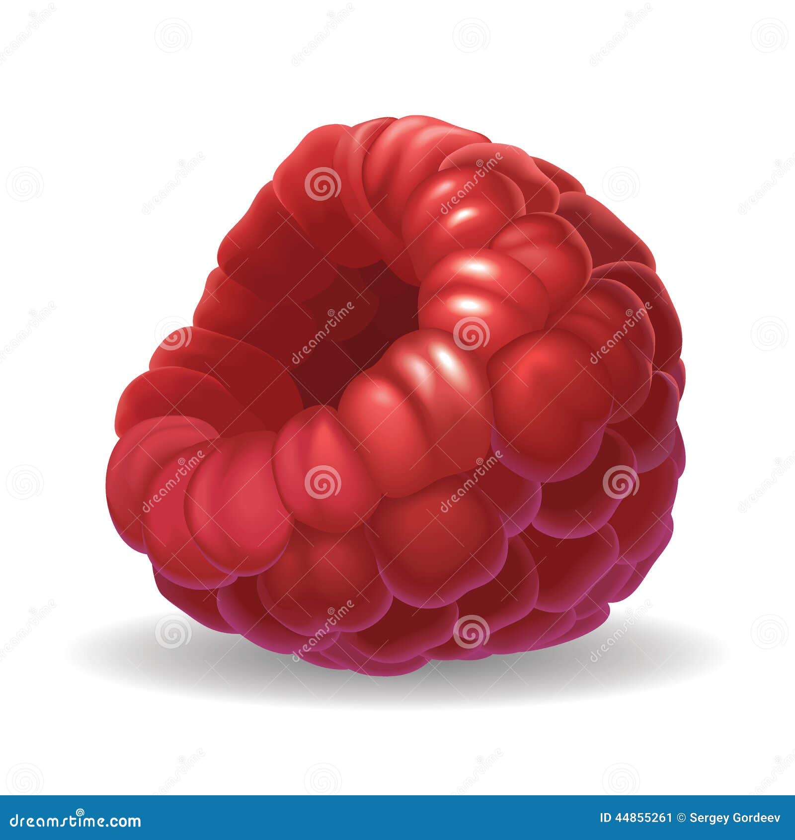Raspberry on White Background Stock Vector - Illustration of dessert ...