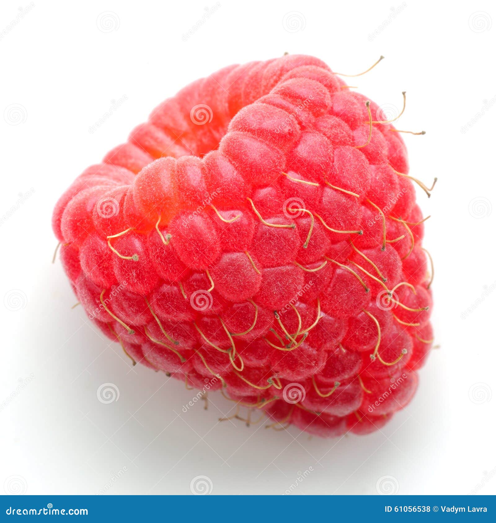 Raspberry on a White Background Stock Photo - Image of shot, gourmet ...