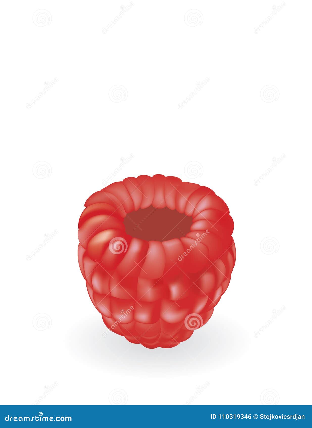 Raspberry on White Background Stock Vector - Illustration of healthy ...