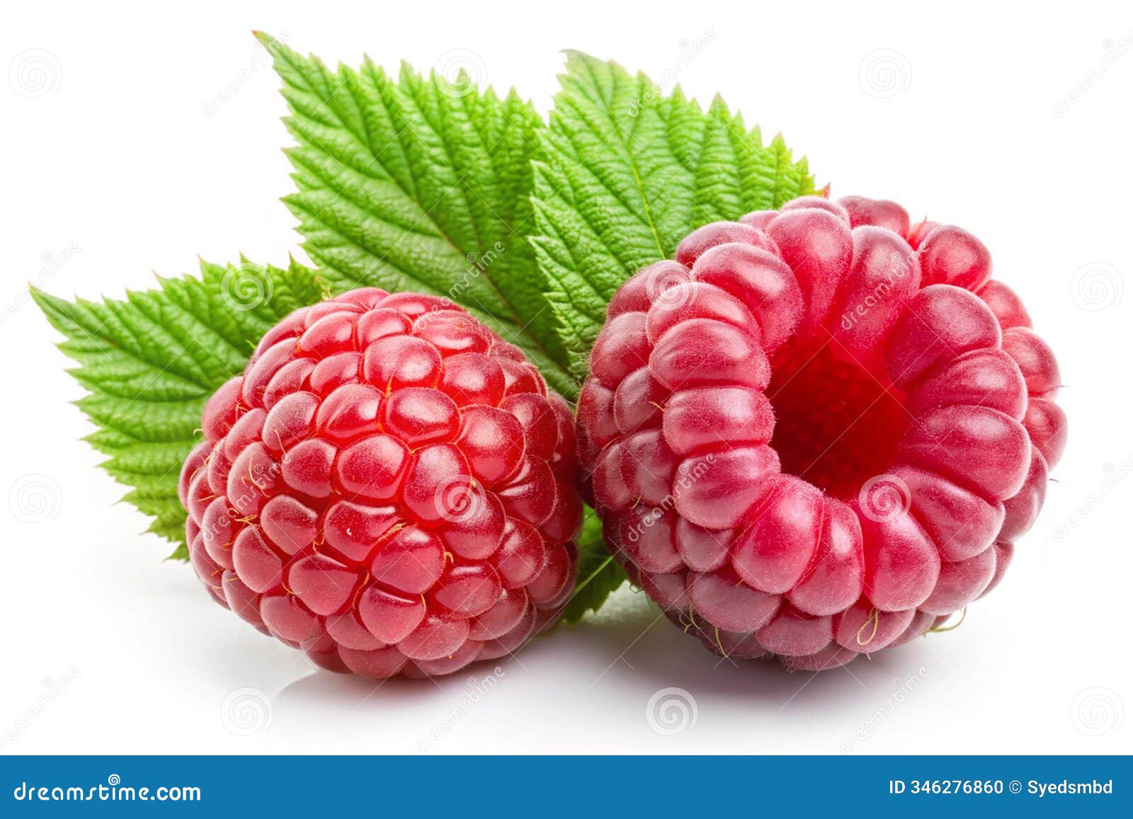 Raspberry Whole and a Half, Isolated on White Background Stock ...