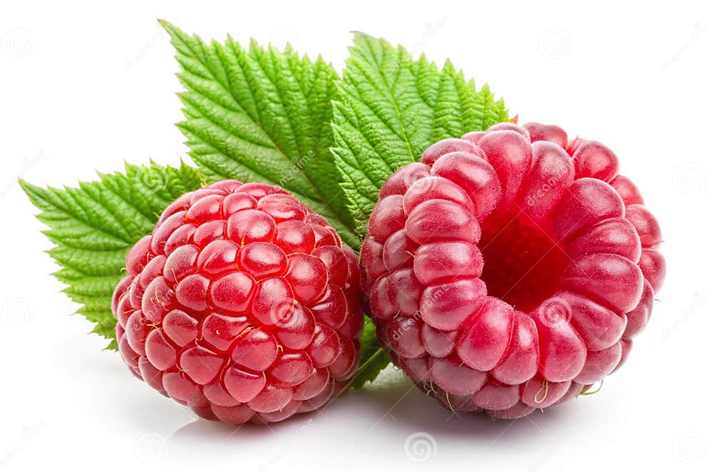 Raspberry Whole and a Half, Isolated on White Background Stock ...