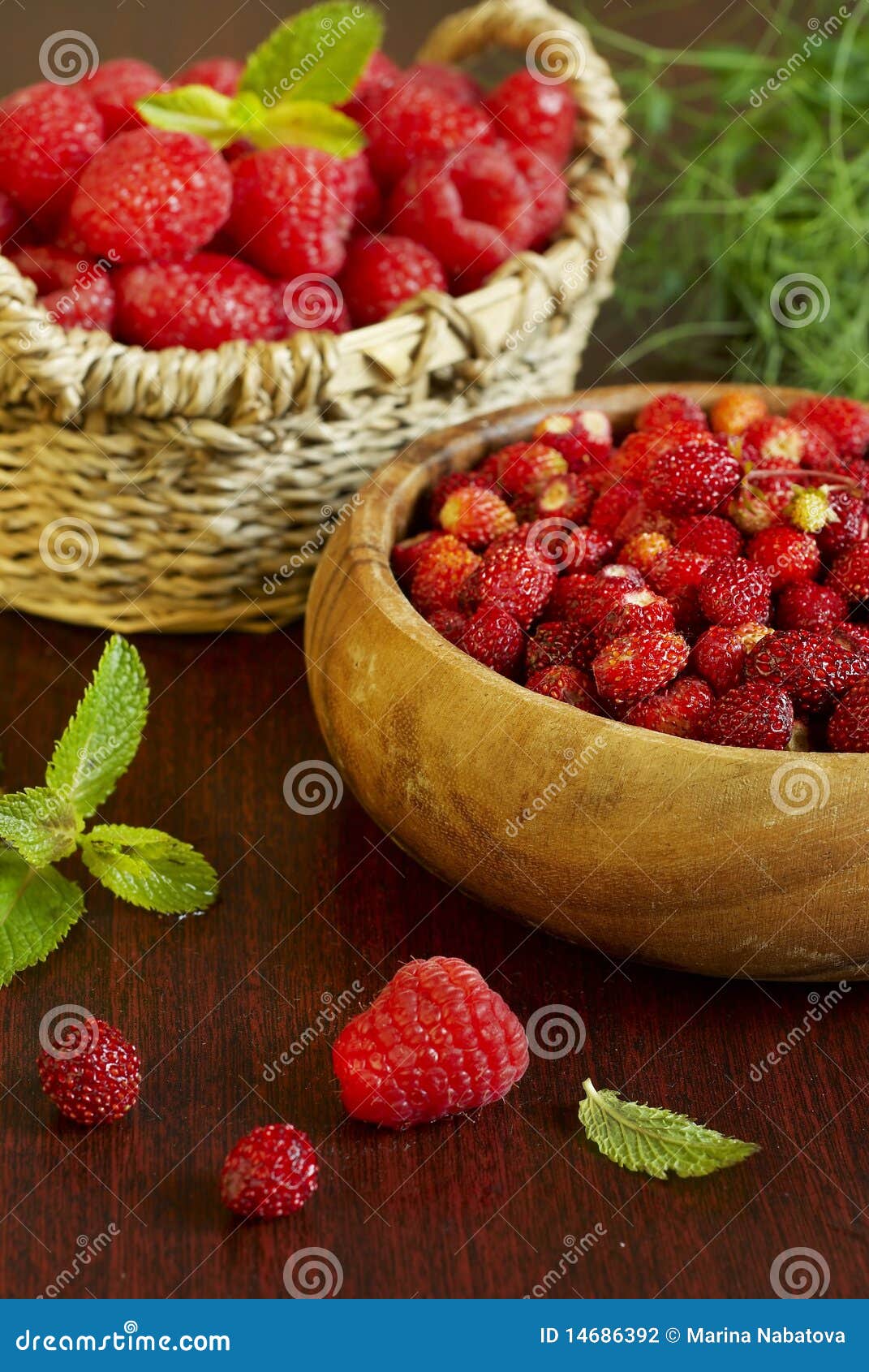 Raspberry and Wild Strawberry Stock Photo - Image of flora, fresh: 14686392