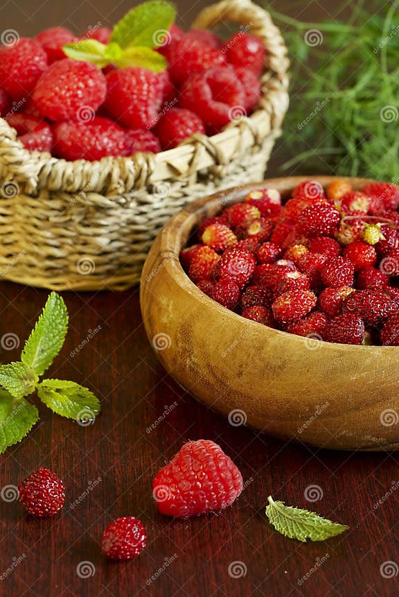 Raspberry and Wild Strawberry Stock Photo - Image of flora, fresh: 14686392
