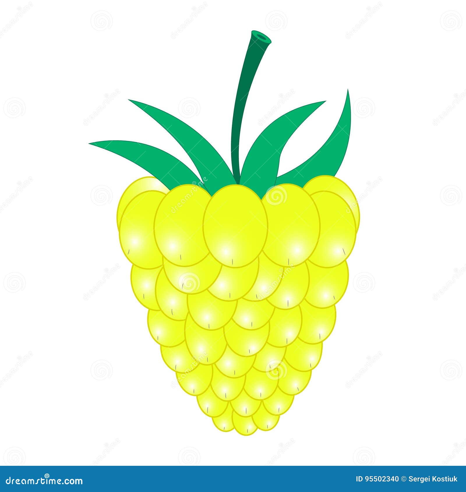 Raspberry yellow stock vector. Illustration of cartoon - 95502340
